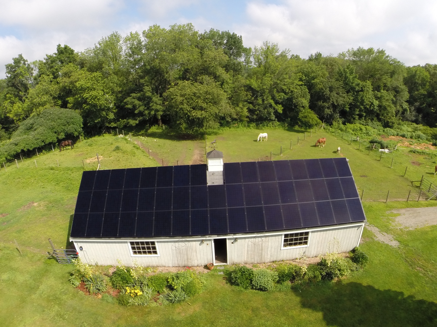 ALL-BLACK VS. TRADITIONAL PANELS